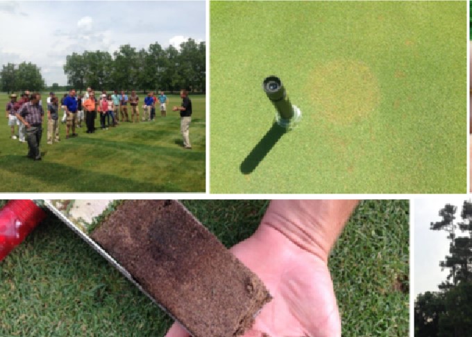 Educational Opportunity: The 2016 Great Lakes School of Turfgrass ...